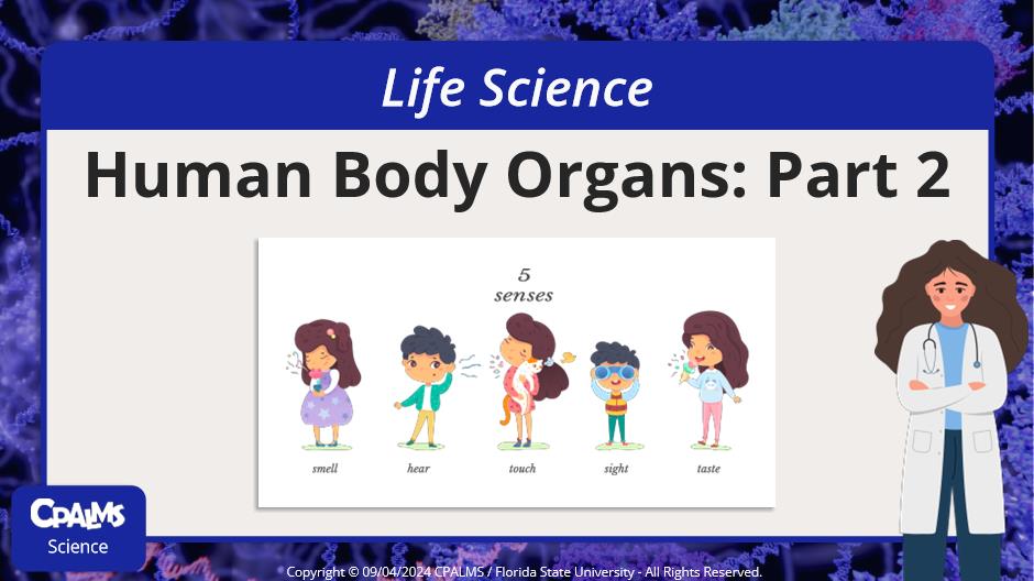 Human Body: Part 2 (Senses, Skin, Muscles, Skeleton)