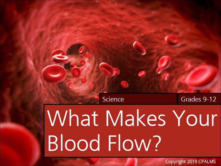 What Makes Your Blood Flow 