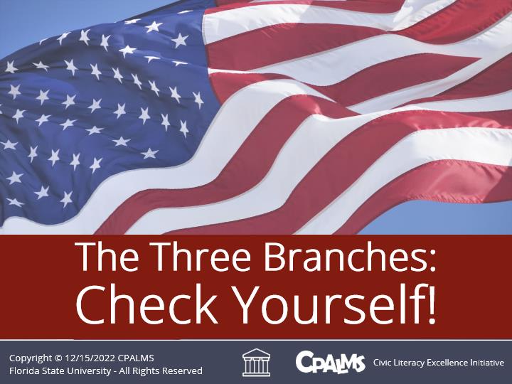 The Three Branches: Check Yourself!