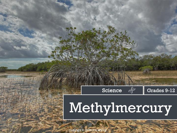 Methylmercury in the Everglades