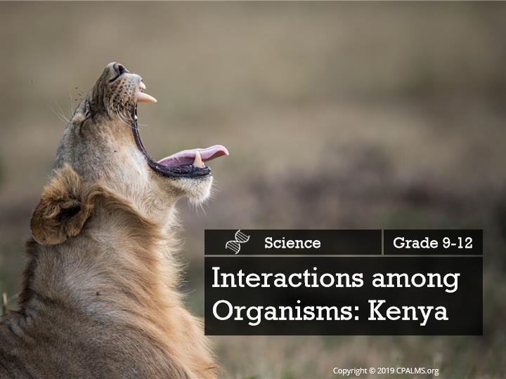 Interactions among Organisms: Kenya
