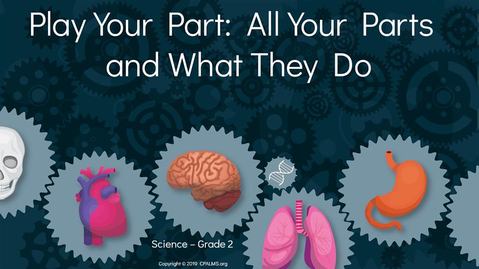 Play Your Part: All Your Parts and What They Do