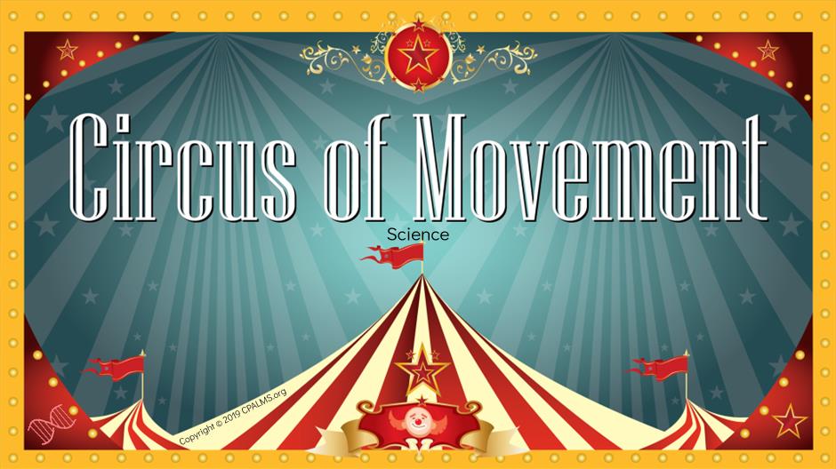 Circus of Movement