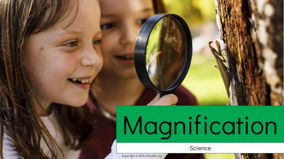 Magnification