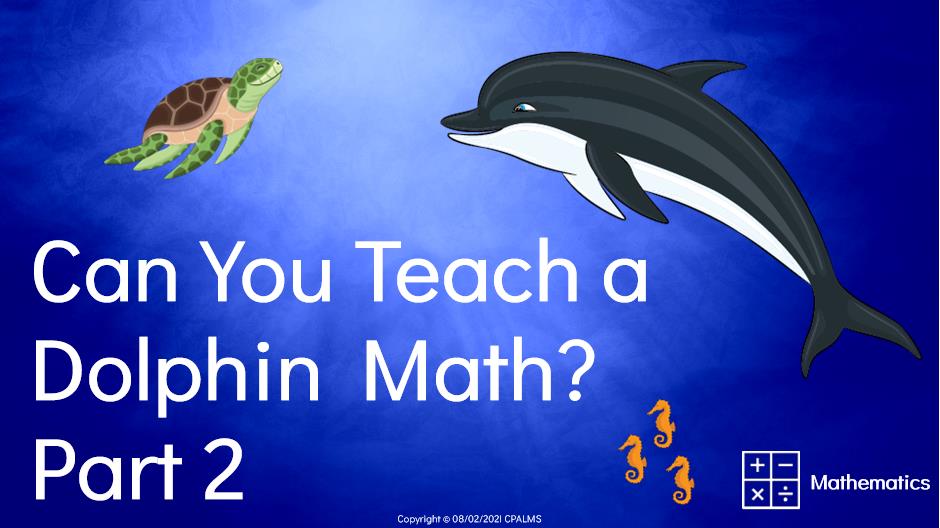 Can You Teach A Dolphin Math? - Part 2