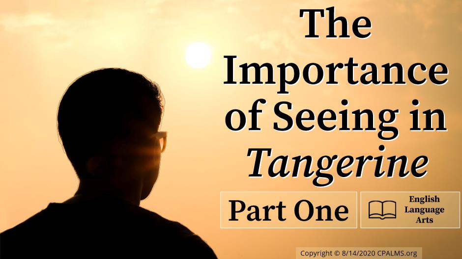 The Importance of Seeing in Tangerine: Part One
