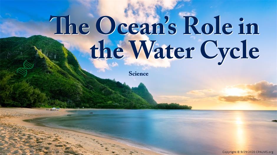 The Ocean's Role in the Water Cycle