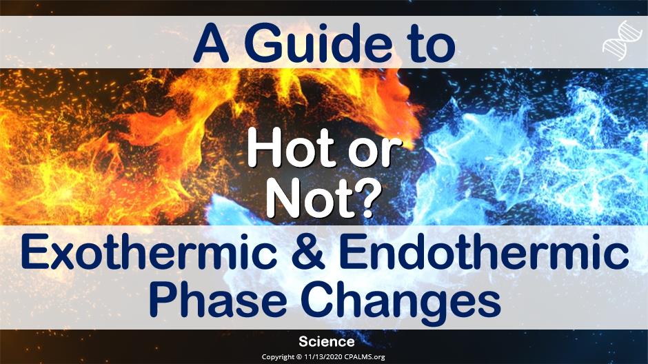 Hot or Not? A Guide to Exothermic and Endothermic Phase Changes