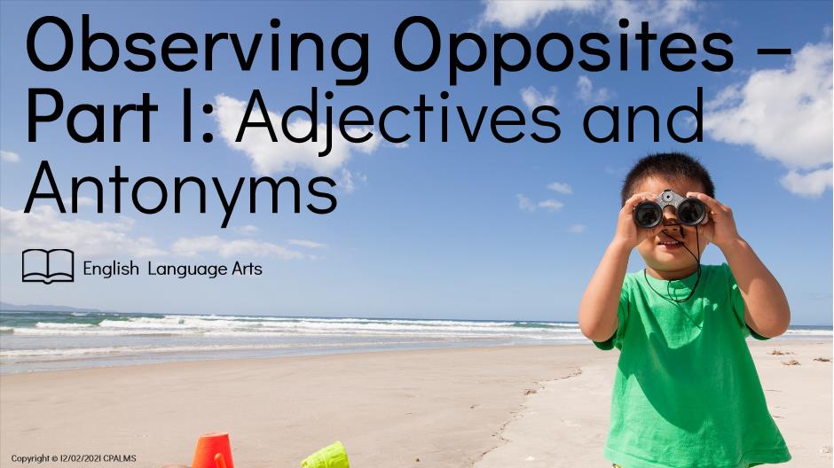 Observing Opposites - Part 1: Adjectives and Antonyms