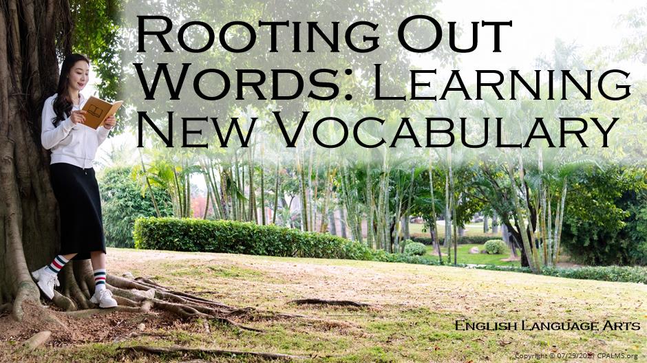 Rooting Out Words: Learning New Vocabulary