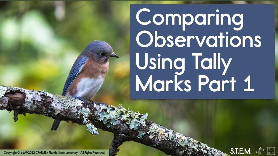 Comparing Observations Using Tally Marks Part 1