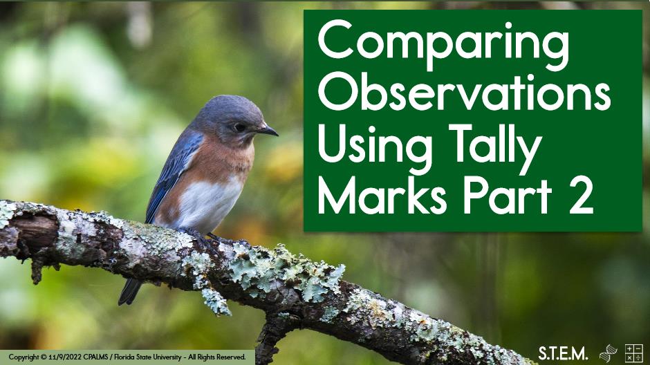 Comparing Observations Using Tally Marks Part 2