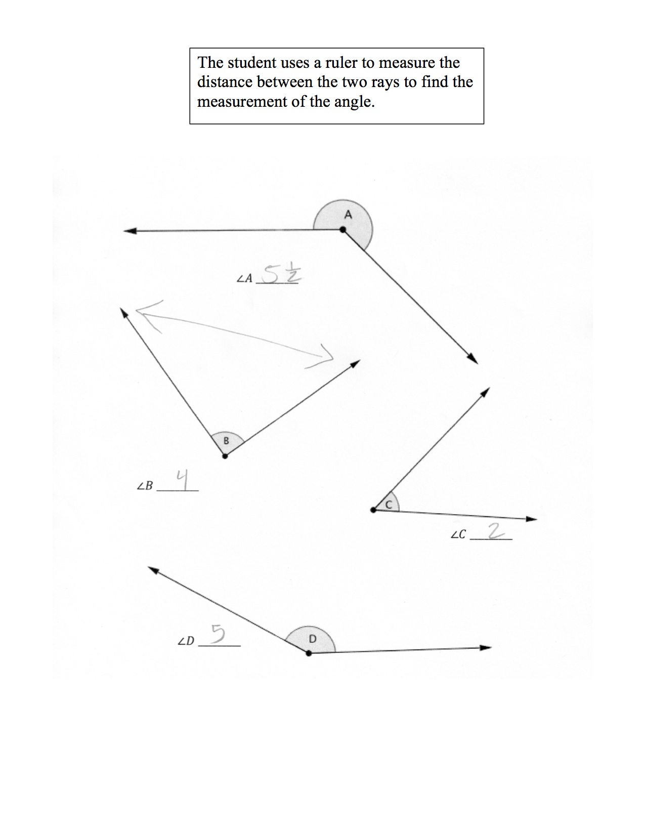 Measuring Angles With a Protractor