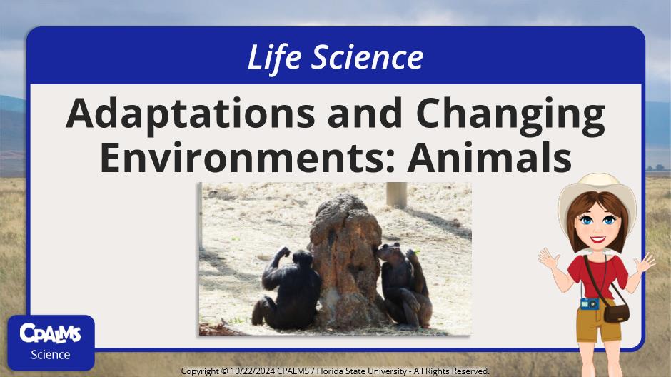 Animal Adaptations