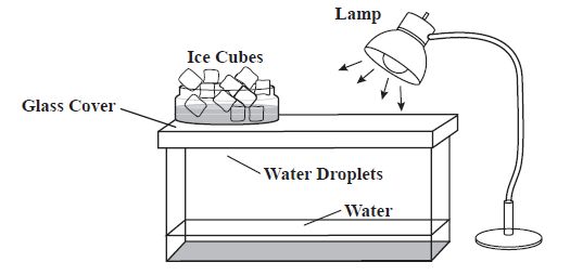 SC.5.E.7.1 - Create a model to explain the parts of the water cycle ...